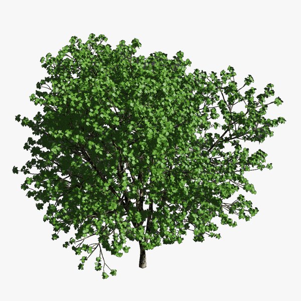 Tree nature 3D model - TurboSquid 1624310