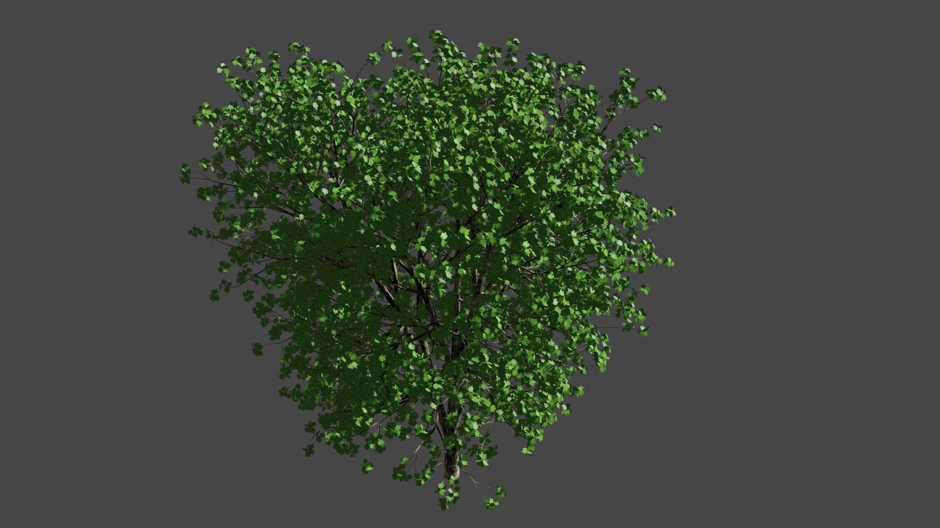 Tree nature 3D model - TurboSquid 1624310