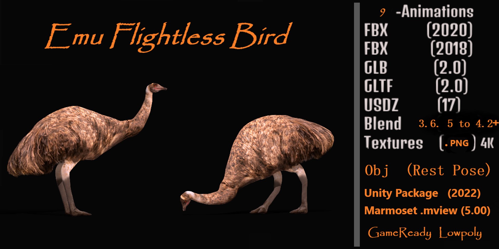 3D Emu Flightless Bird - TurboSquid 2313892