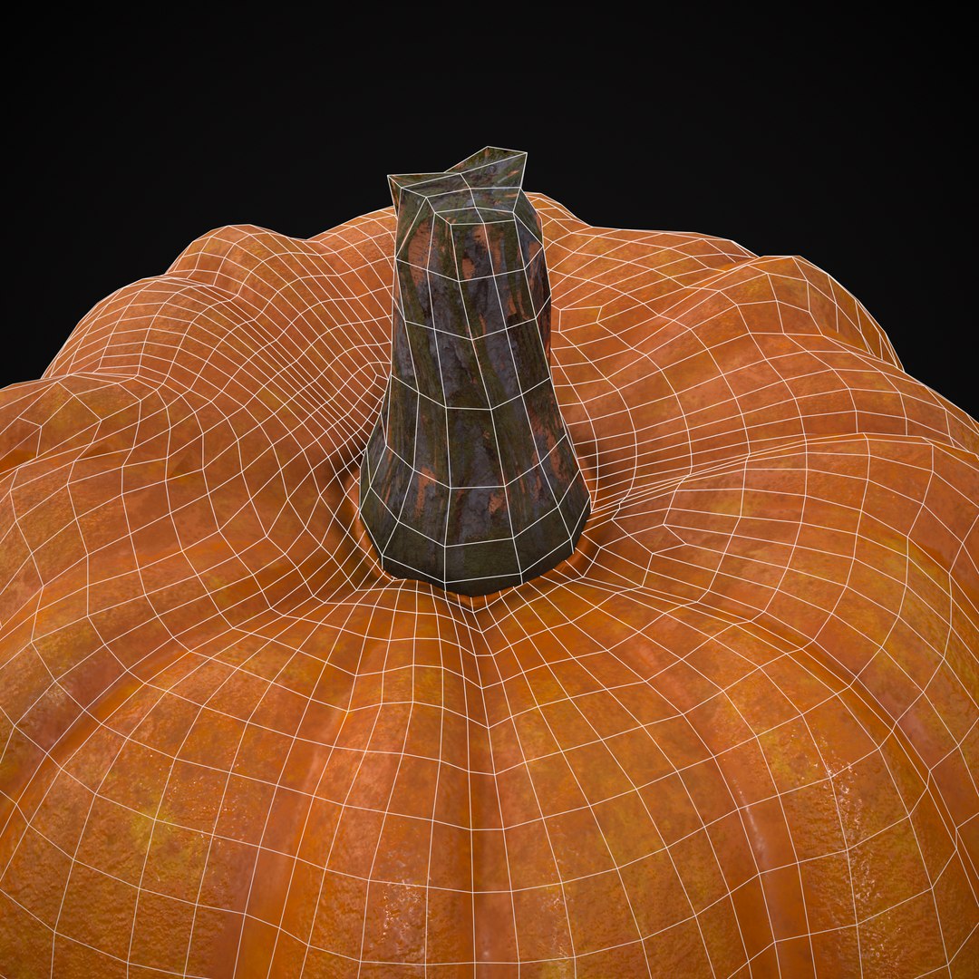3D Field Pumpkin Model - TurboSquid 1968008
