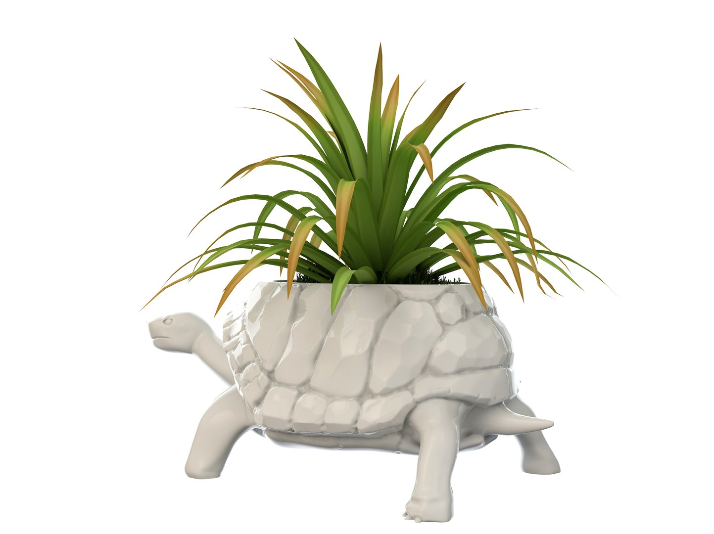 3D model turtle plant vase - TurboSquid 1490929