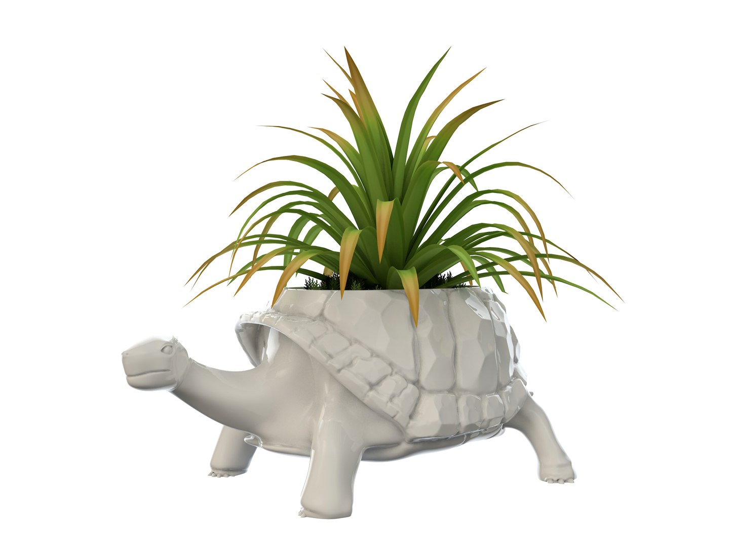 3D model turtle plant vase - TurboSquid 1490929