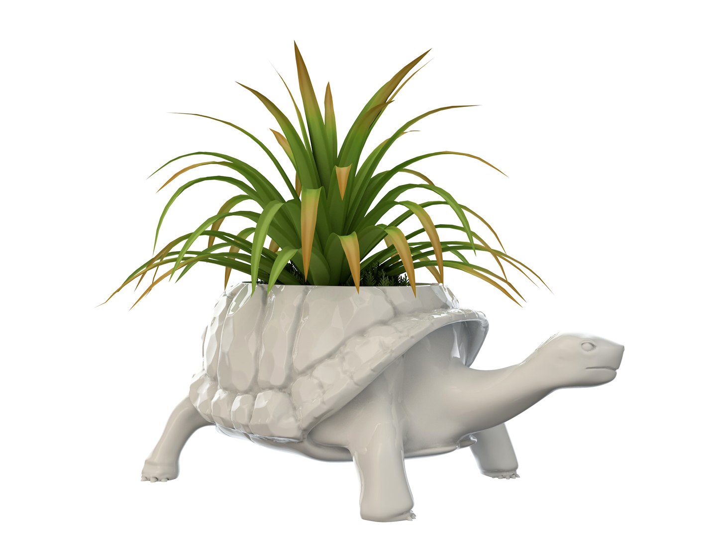 3D model turtle plant vase - TurboSquid 1490929