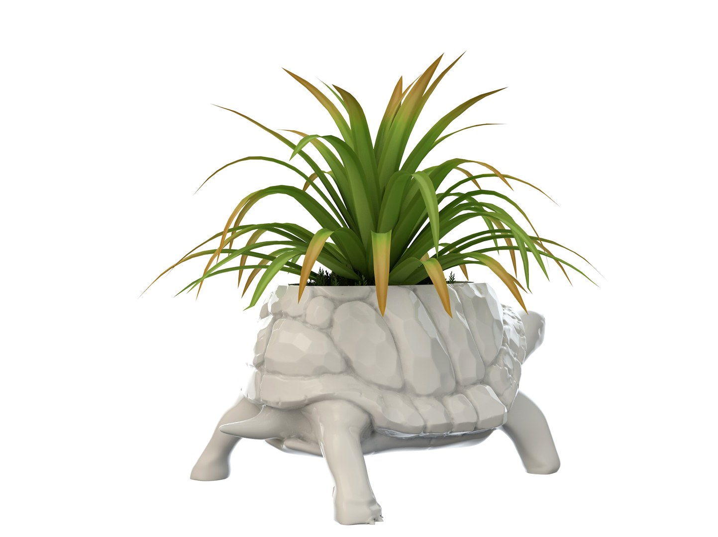 3D model turtle plant vase - TurboSquid 1490929