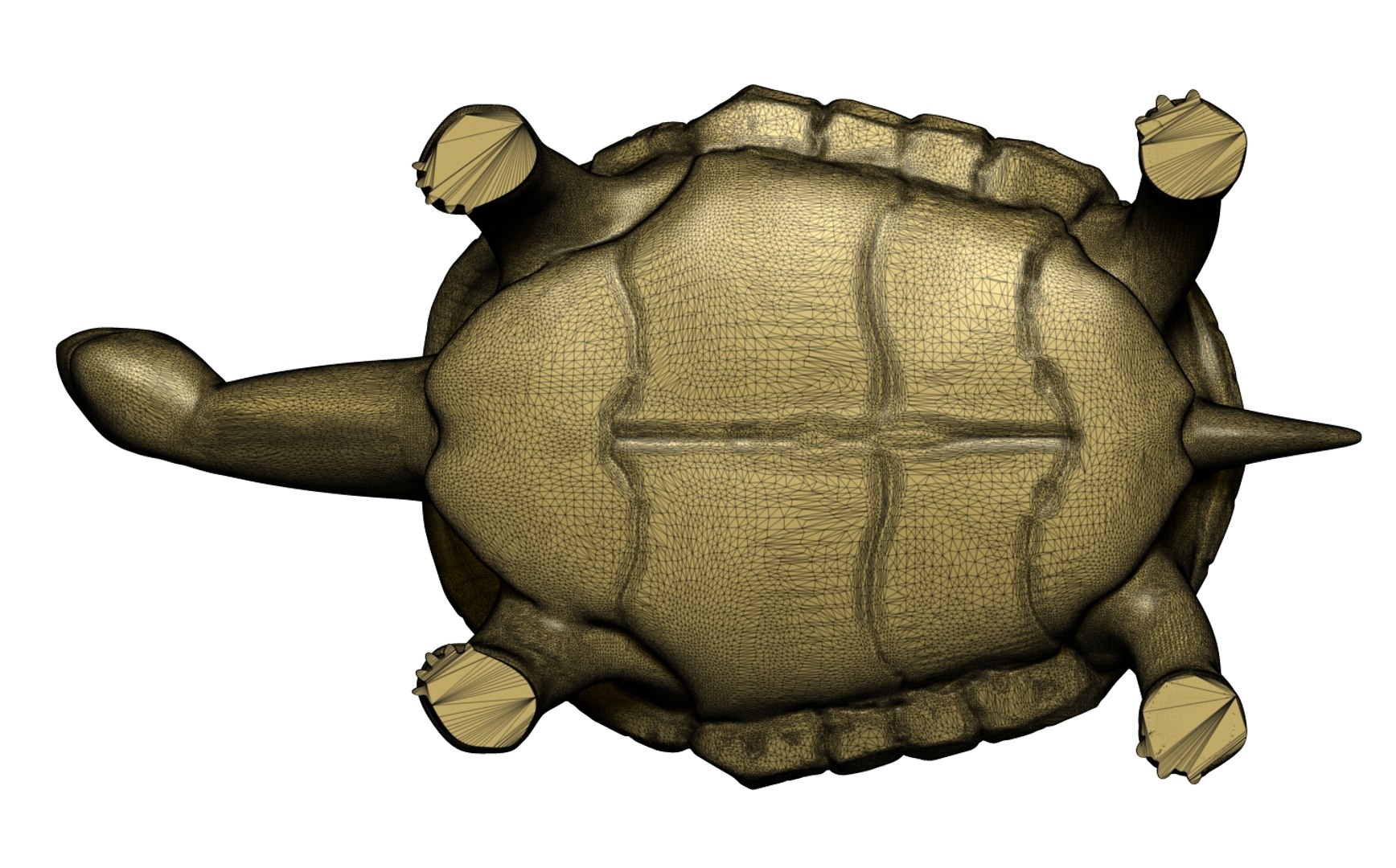 3D model turtle plant vase - TurboSquid 1490929