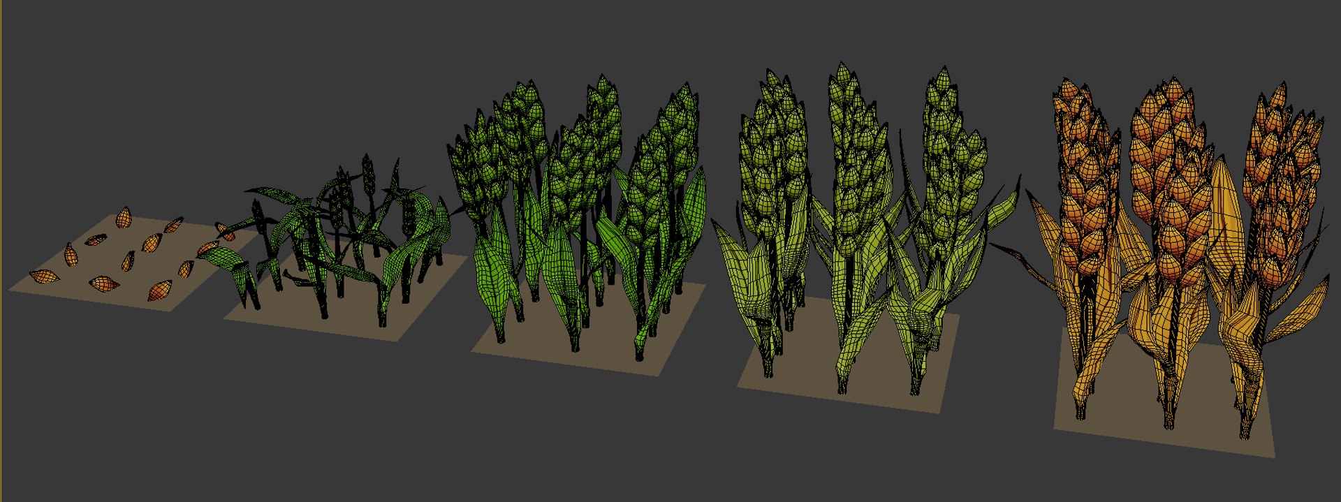 Cartoon Grow Stages Max
