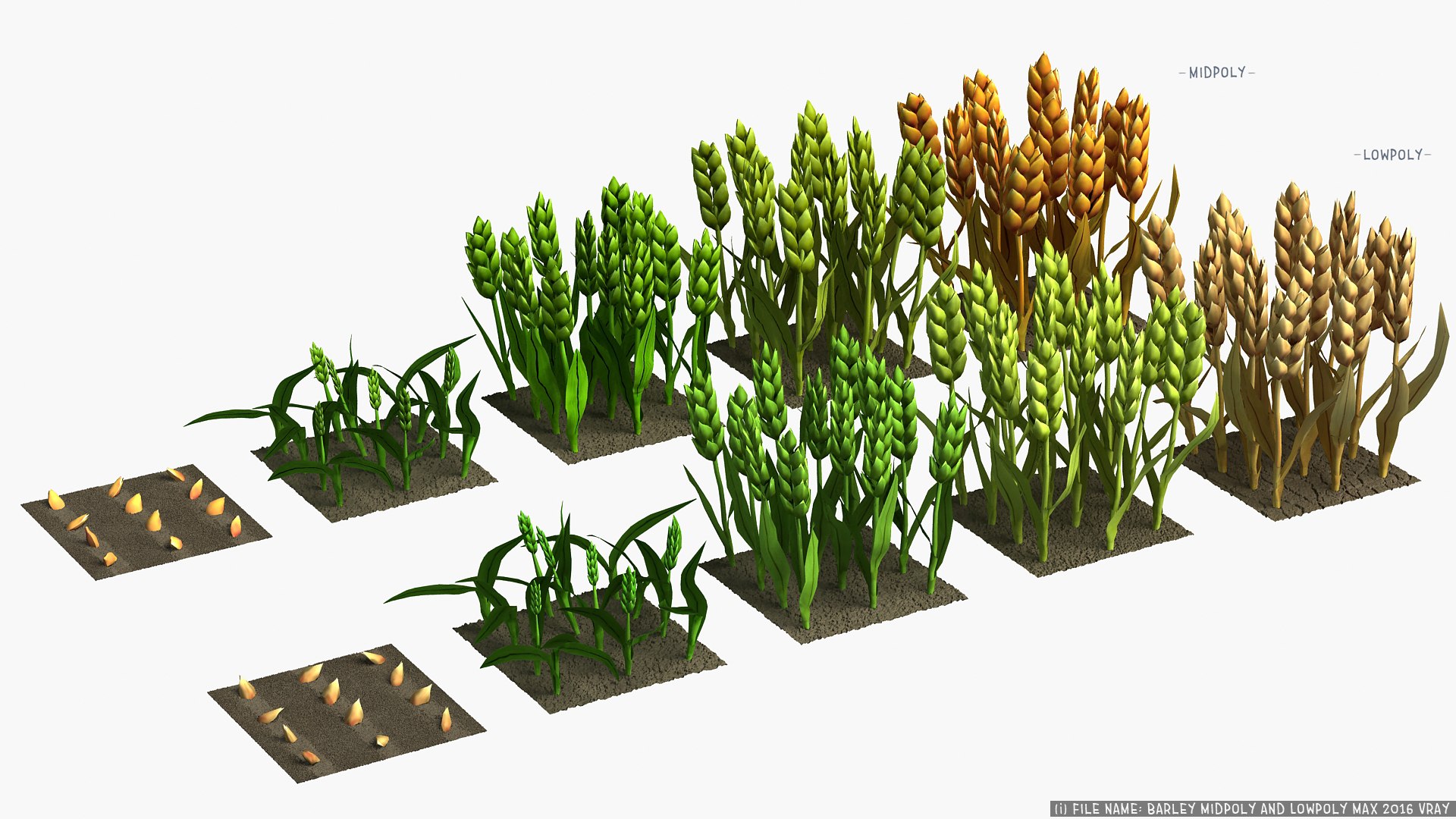 Cartoon Grow Stages Max