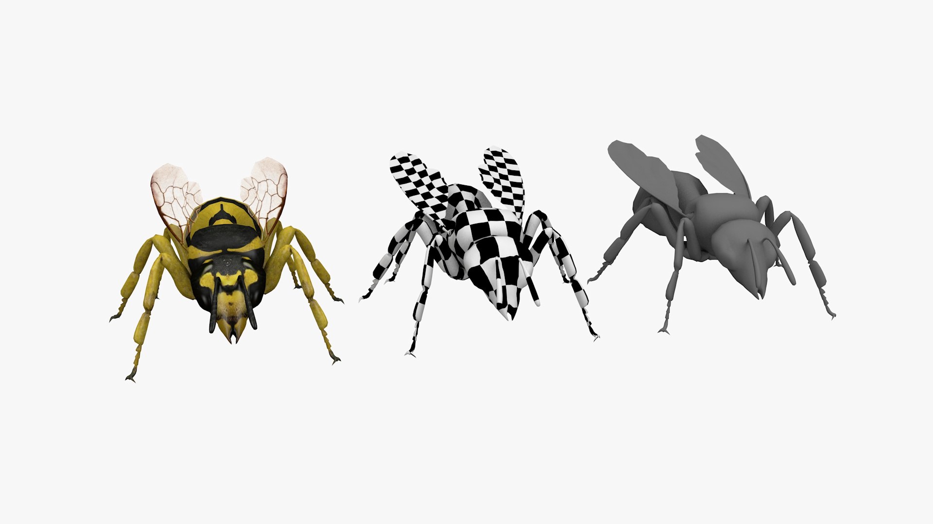 3D Wasp - TurboSquid 1857380
