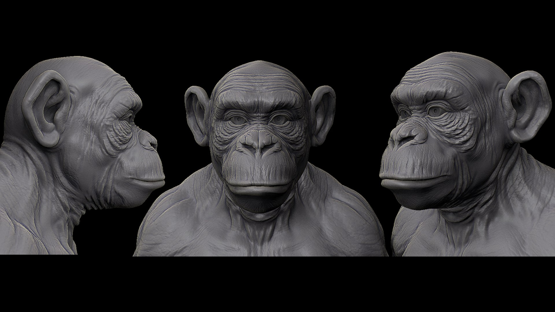 Chimpanzee 3D - TurboSquid 2089325