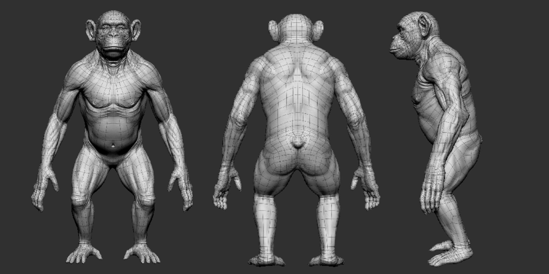 Chimpanzee 3D - TurboSquid 2089325