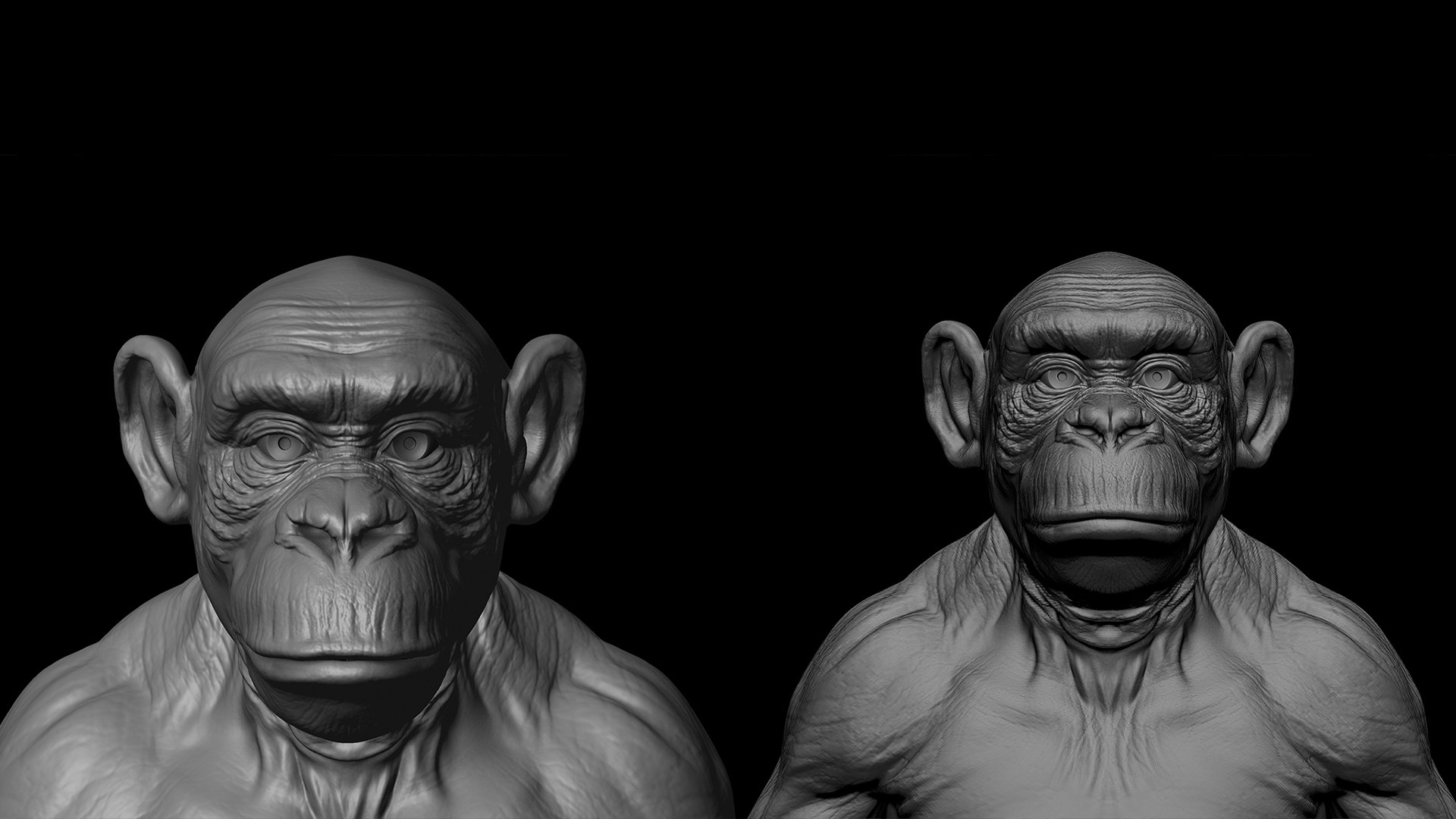 Chimpanzee 3D - TurboSquid 2089325