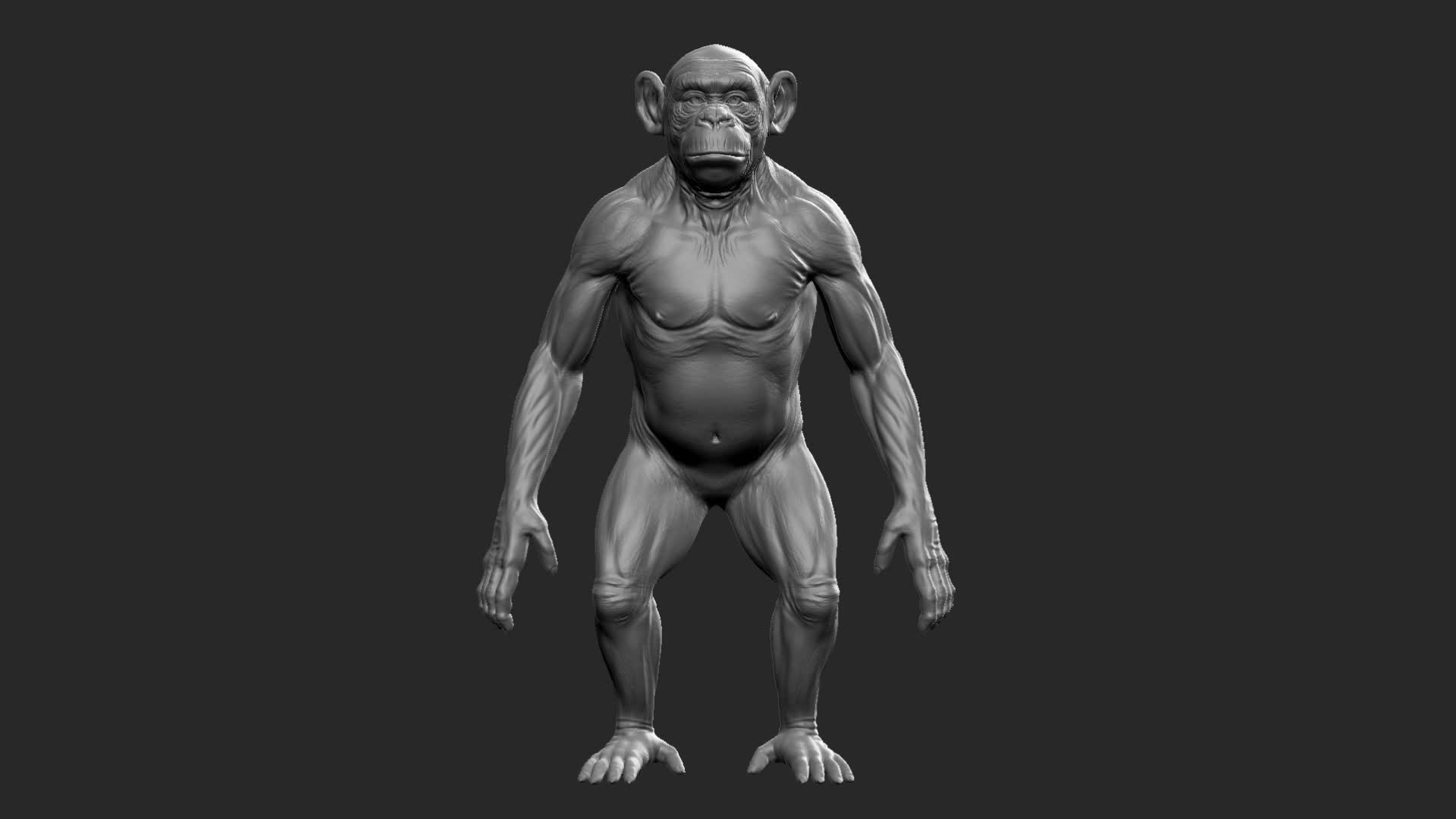 Chimpanzee 3D - TurboSquid 2089325