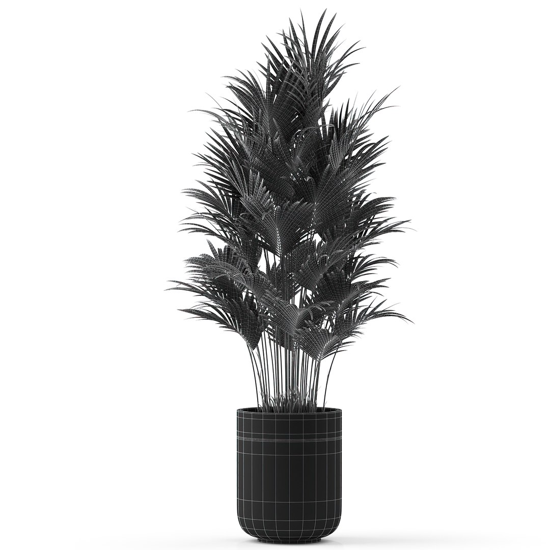 3D Plants Collection 470 - TurboSquid 1784576