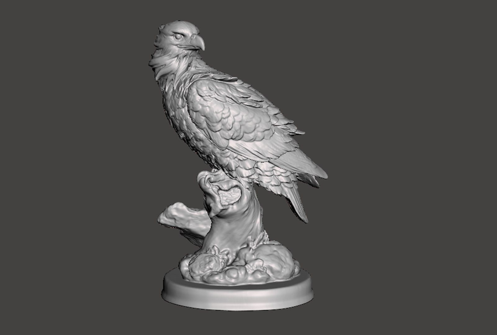 Bird Hawk Model - TurboSquid 2127734