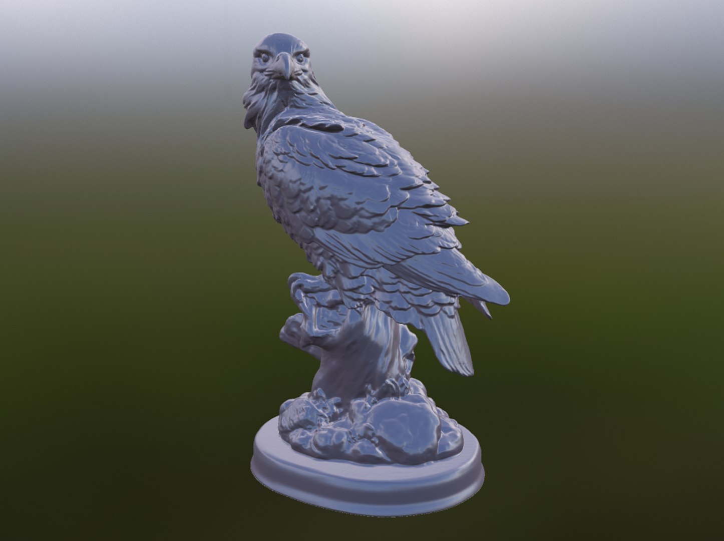 Bird Hawk Model - TurboSquid 2127734