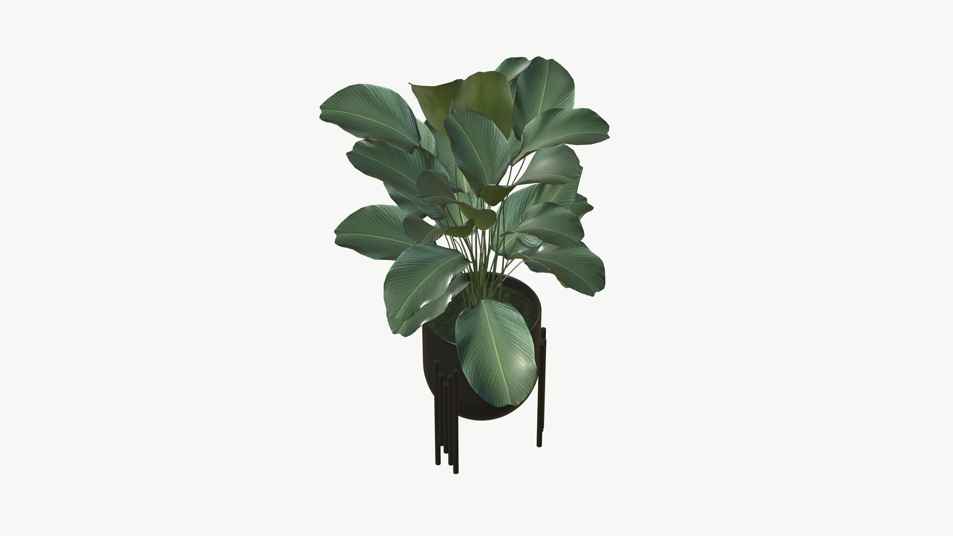 Realistic Plants 3D Model - TurboSquid 2173647