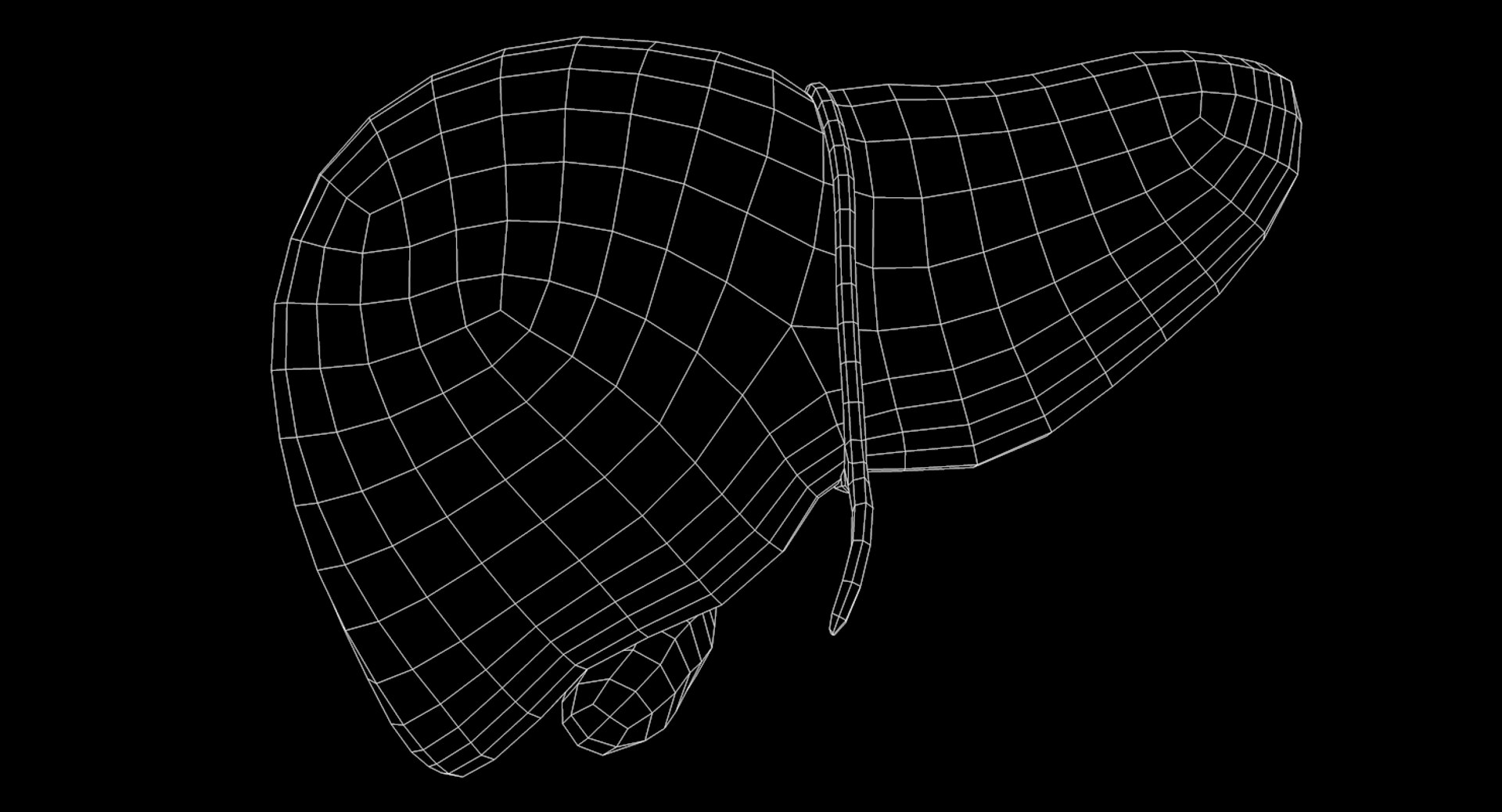 3D Model Human Liver - TurboSquid 1421462
