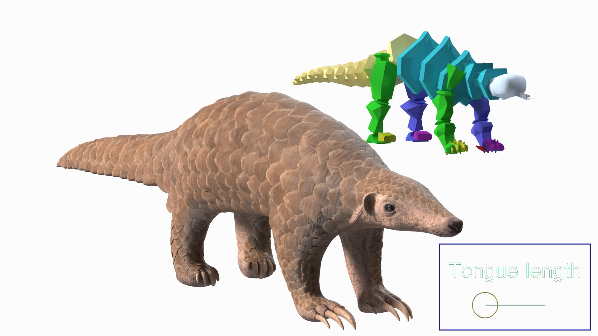 3D Pangolin Rigged - TurboSquid 2218392