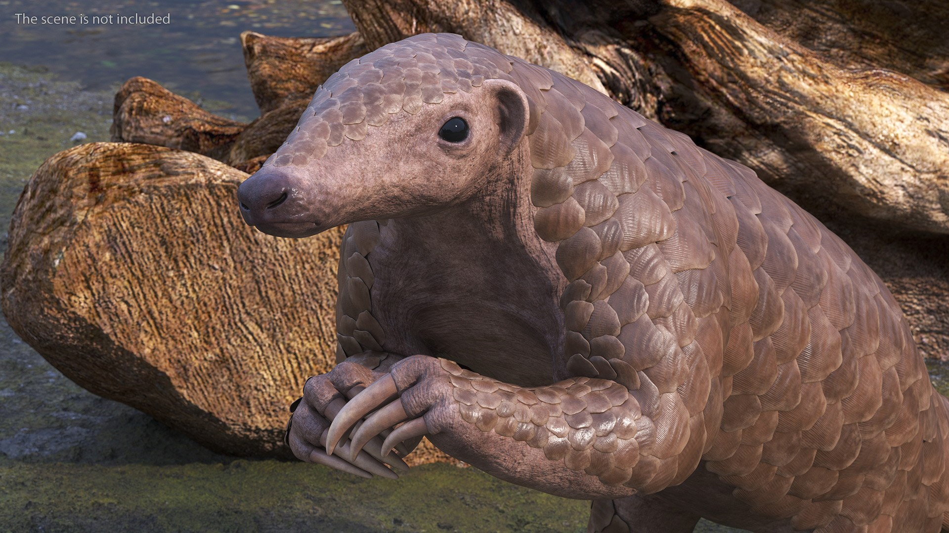 3D Pangolin Rigged - TurboSquid 2218392
