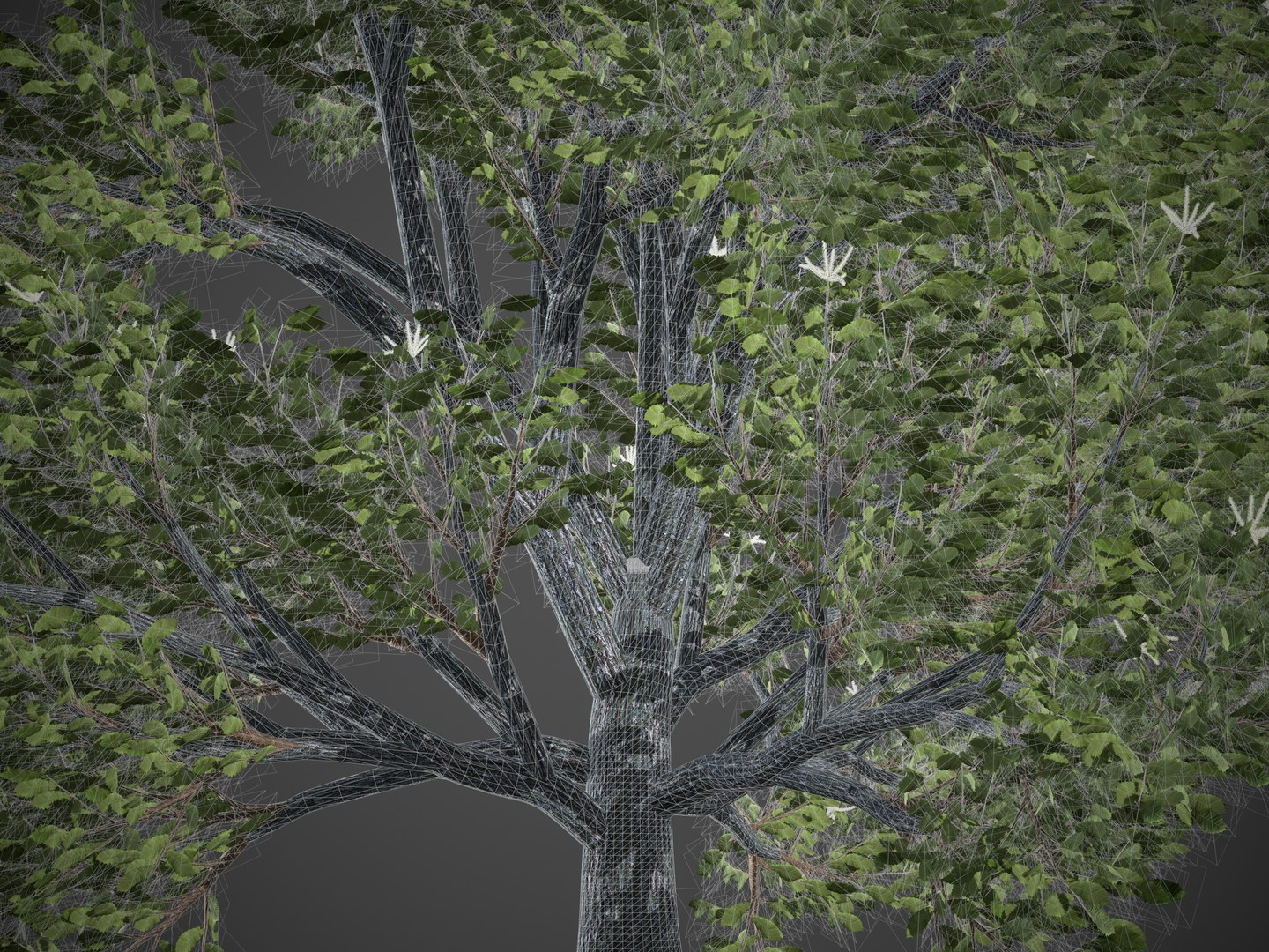 3D 2021 PBR Chestnut Collection - Castanea Sativa model - TurboSquid ...