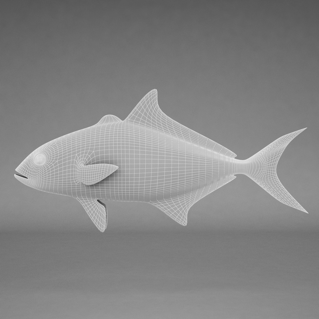 Amberjack Amber Jack 3ds