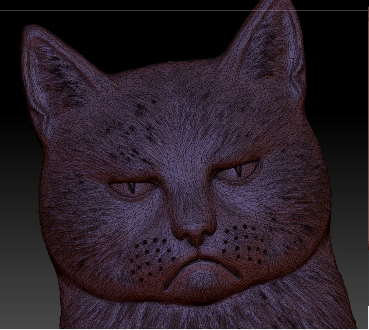 3D Model Sad Angry Cat - TurboSquid 1713805