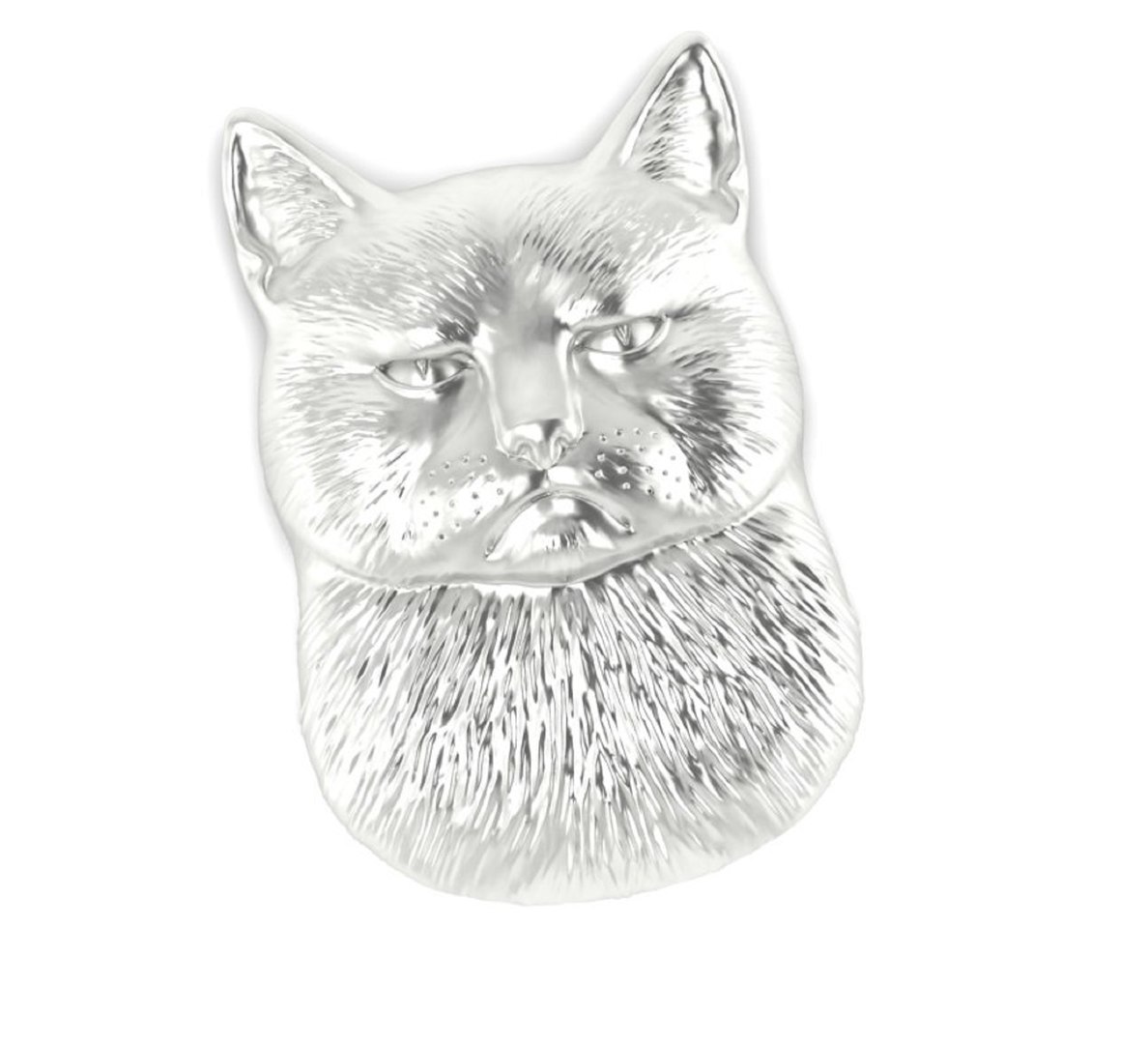 3D Model Sad Angry Cat - TurboSquid 1713805