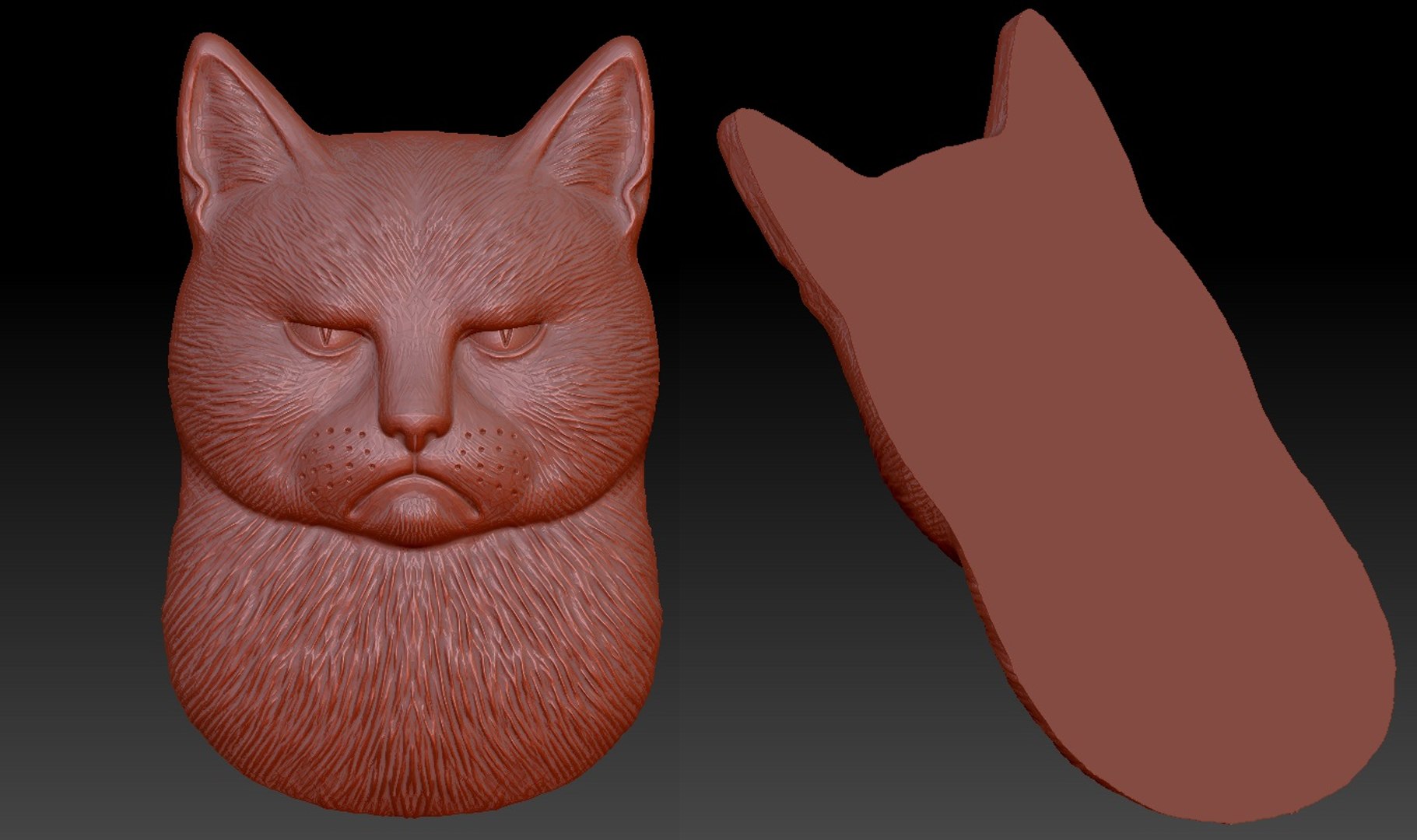 3D Model Sad Angry Cat - TurboSquid 1713805