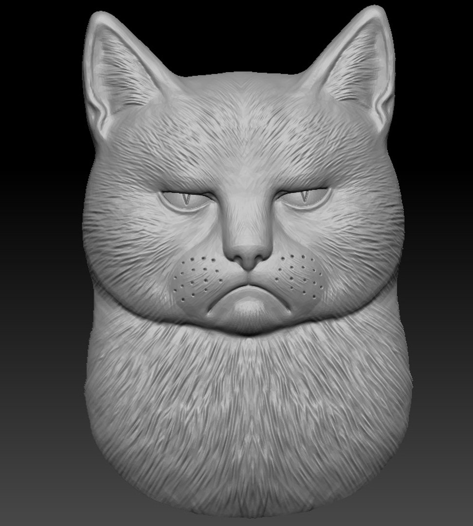 3D Model Sad Angry Cat - TurboSquid 1713805