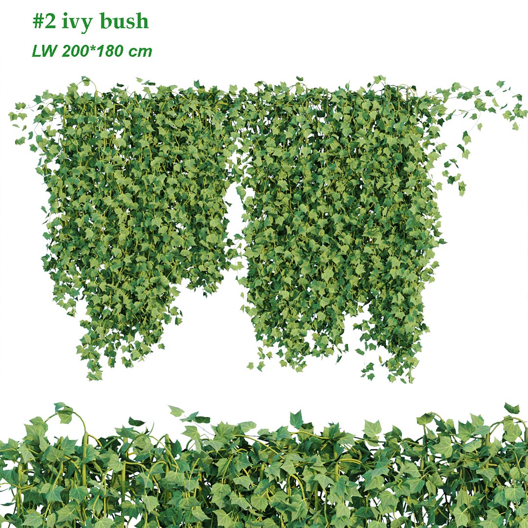 Hanging Ivy Vol 49 3D - TurboSquid 1955938