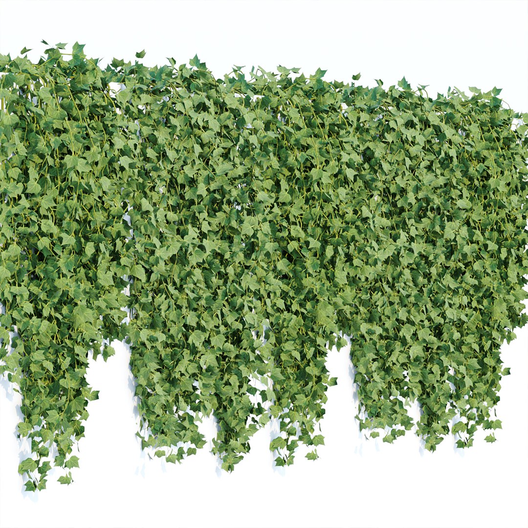 Hanging Ivy Vol 49 3D - TurboSquid 1955938