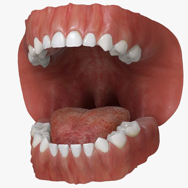 anatomical teeth tongue mouth max