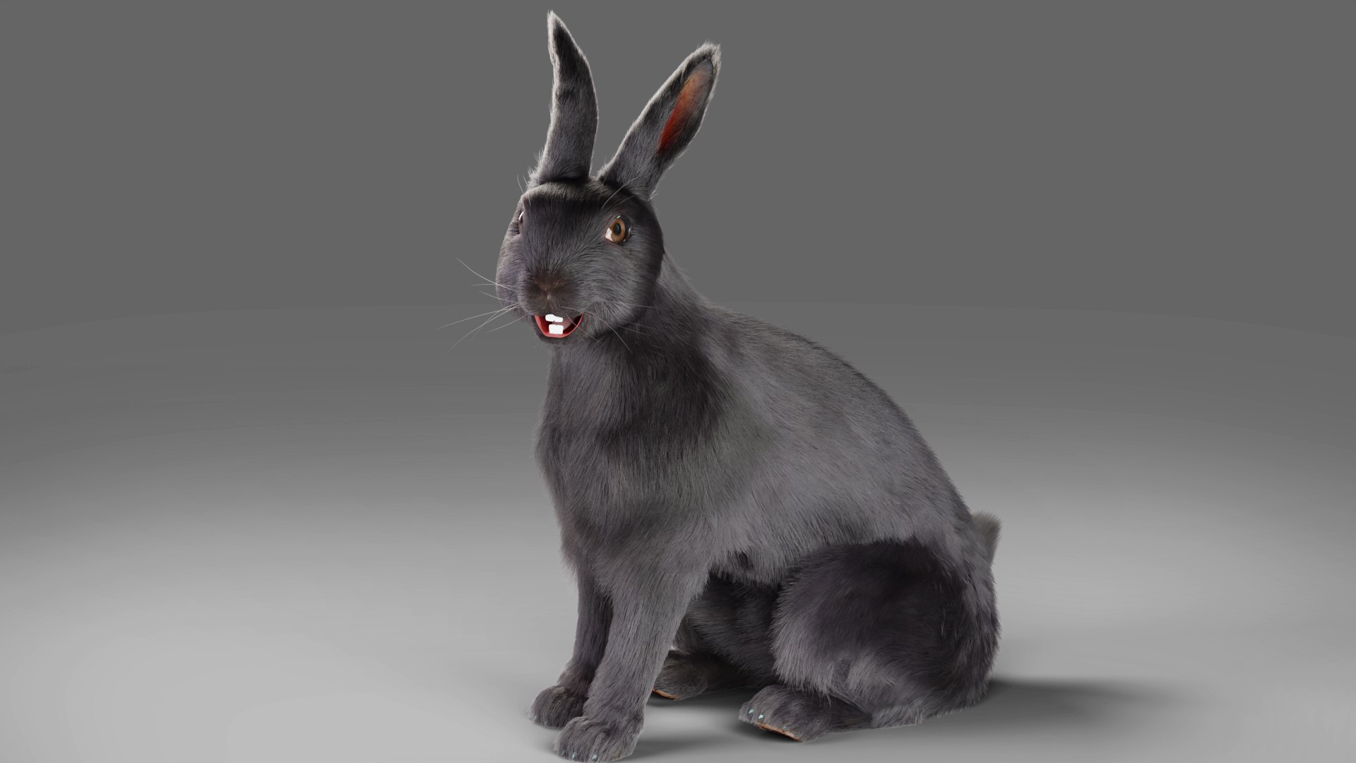 3D Fur Rabbit Gray V02 Rigged - TurboSquid 1927346