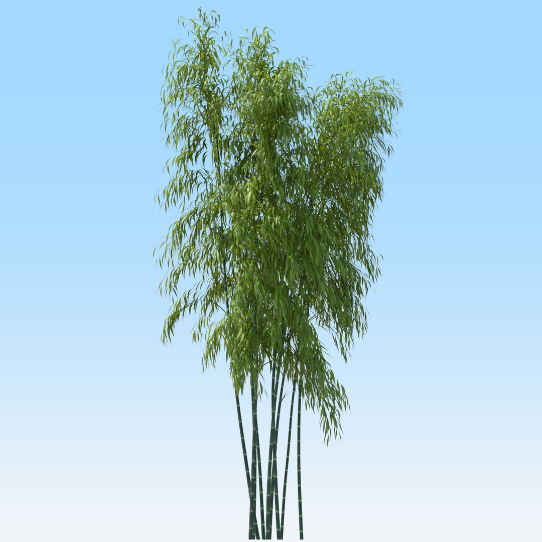 bamboo tree 3d obj