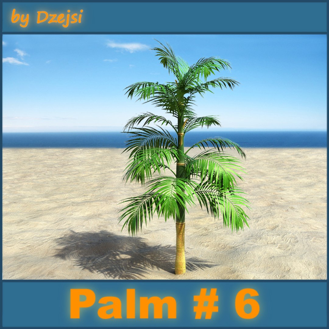 Palm Tree Max
