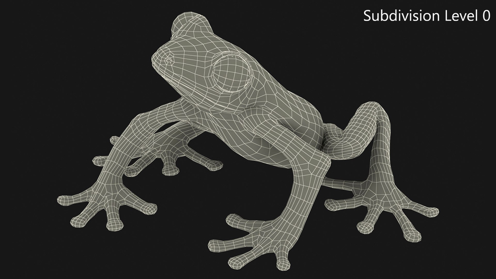 Realistic Tree Frog Rigged For Cinema 4D 3D Model - TurboSquid 2342356