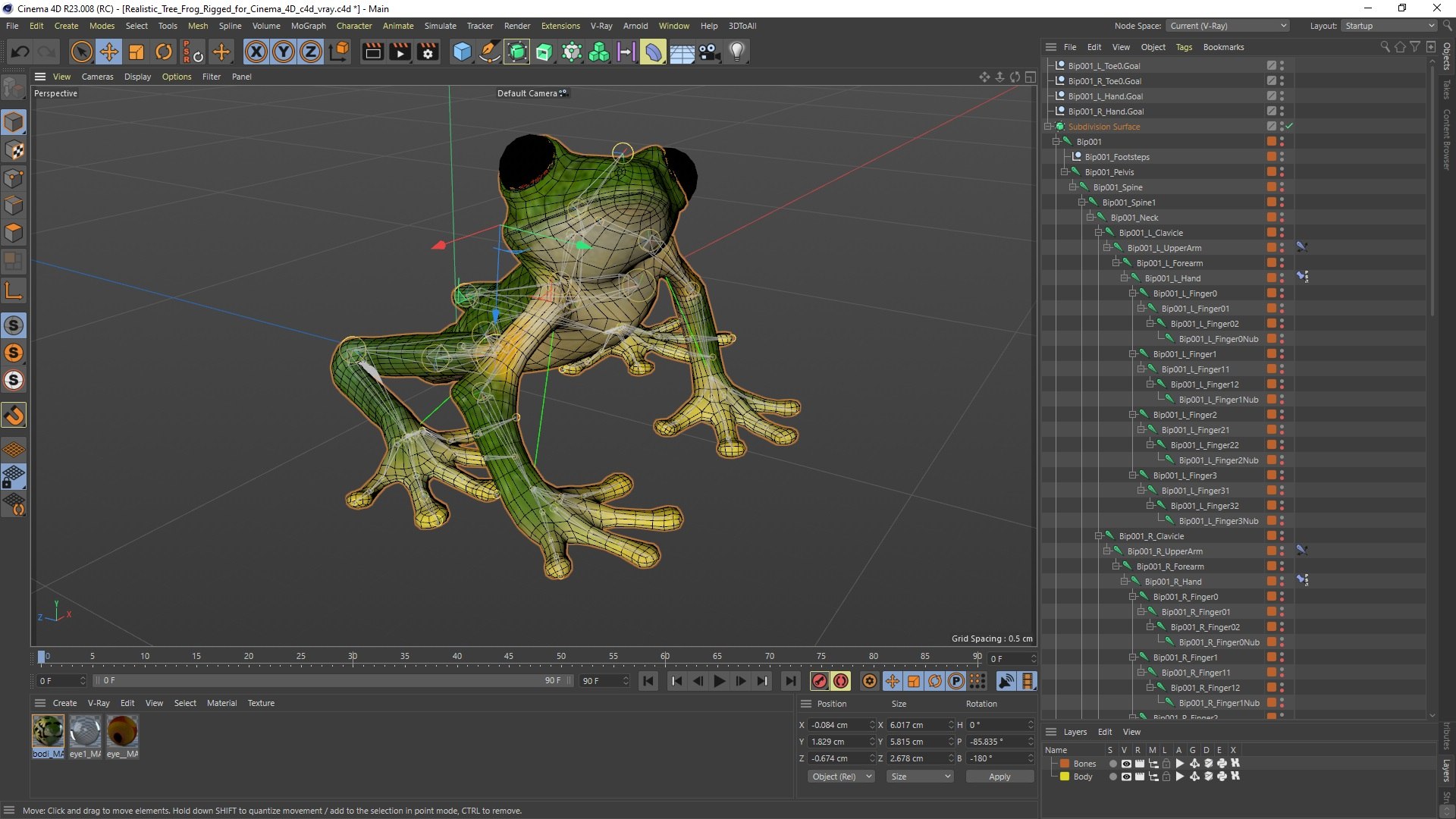 Realistic Tree Frog Rigged For Cinema 4D 3D Model - TurboSquid 2342356