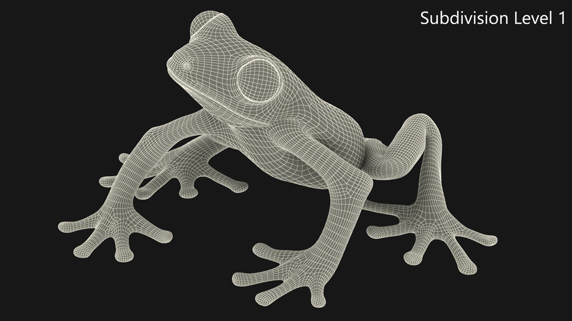Realistic Tree Frog Rigged For Cinema 4D 3D Model - TurboSquid 2342356