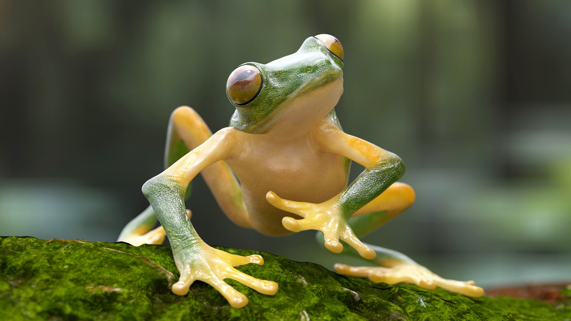 Realistic Tree Frog Rigged For Cinema 4D 3D Model - TurboSquid 2342356