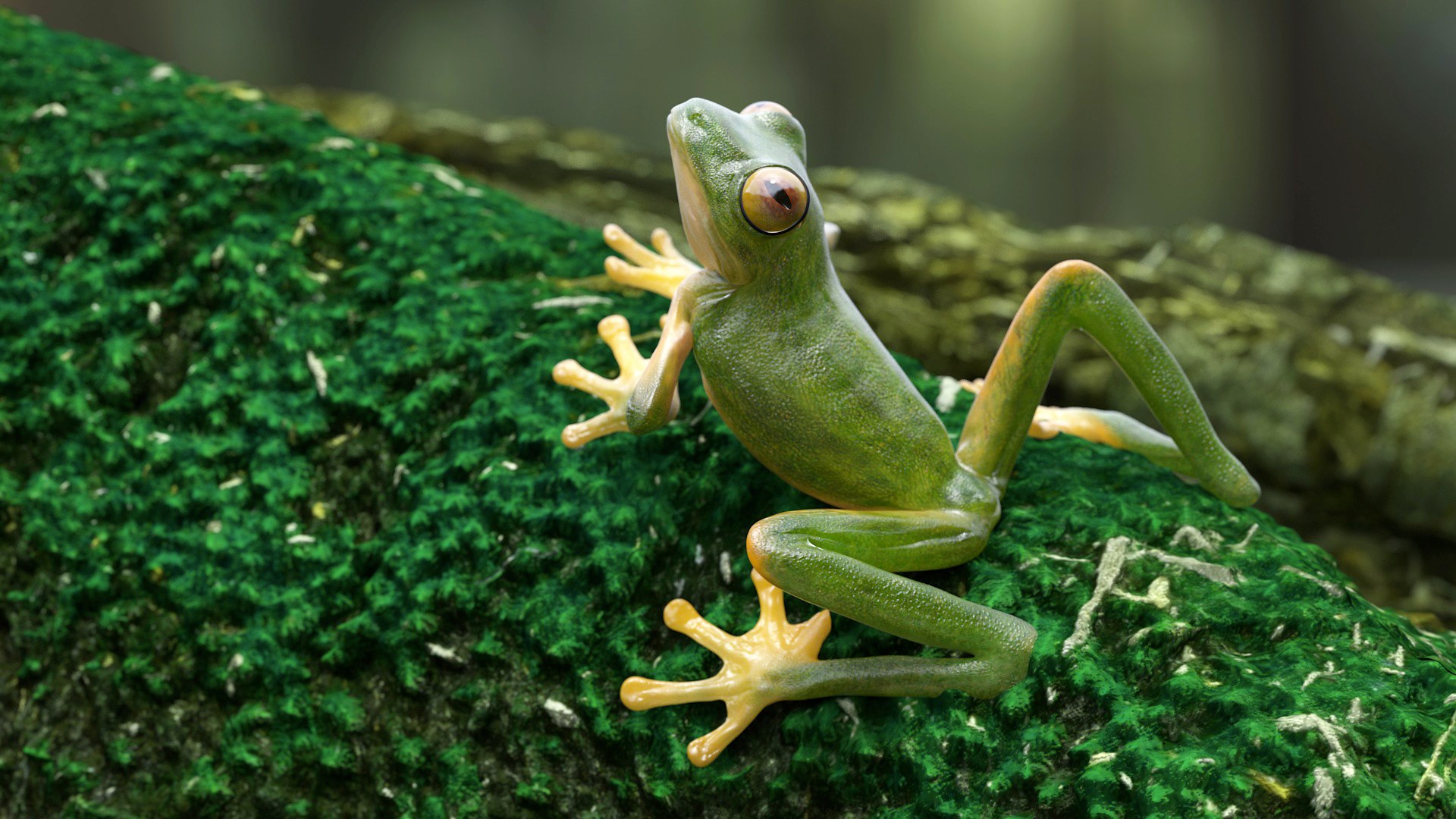 Realistic Tree Frog Rigged For Cinema 4D 3D Model - TurboSquid 2342356