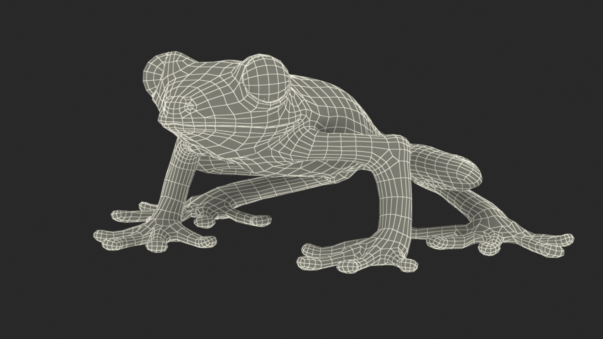 Realistic Tree Frog Rigged For Cinema 4D 3D Model - TurboSquid 2342356