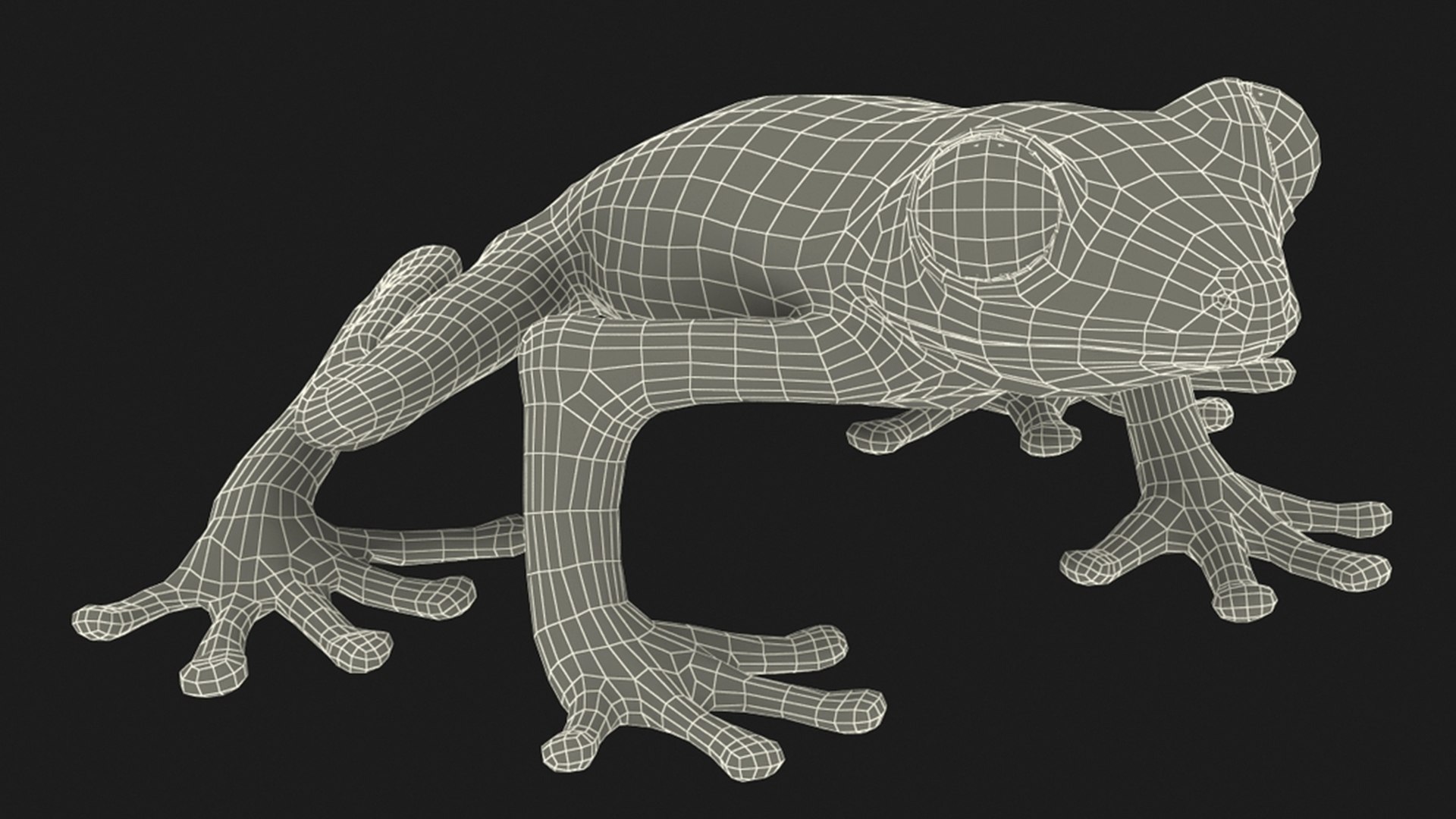 Realistic Tree Frog Rigged For Cinema 4D 3D Model - TurboSquid 2342356