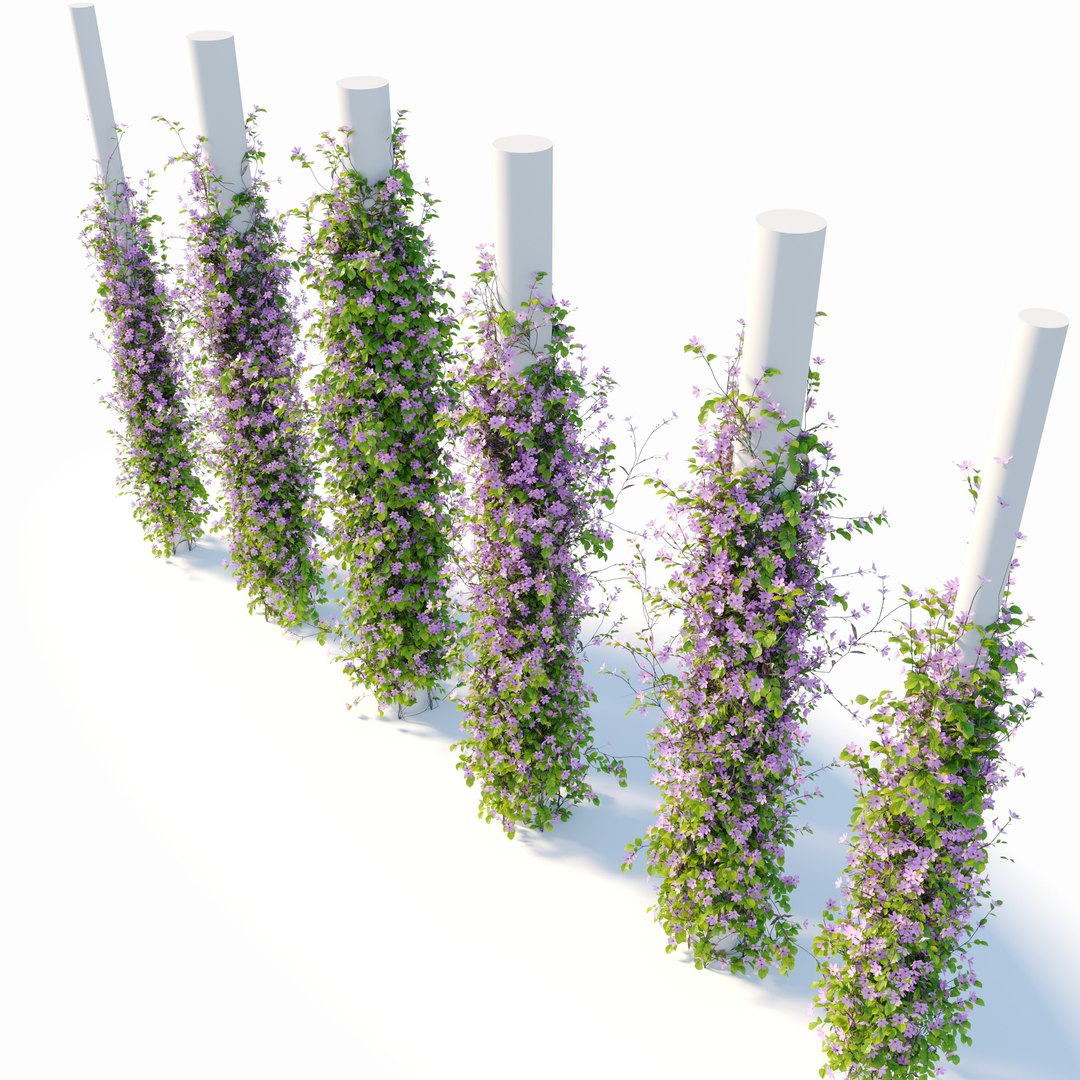 3D Flowering vine plant - TurboSquid 1932130