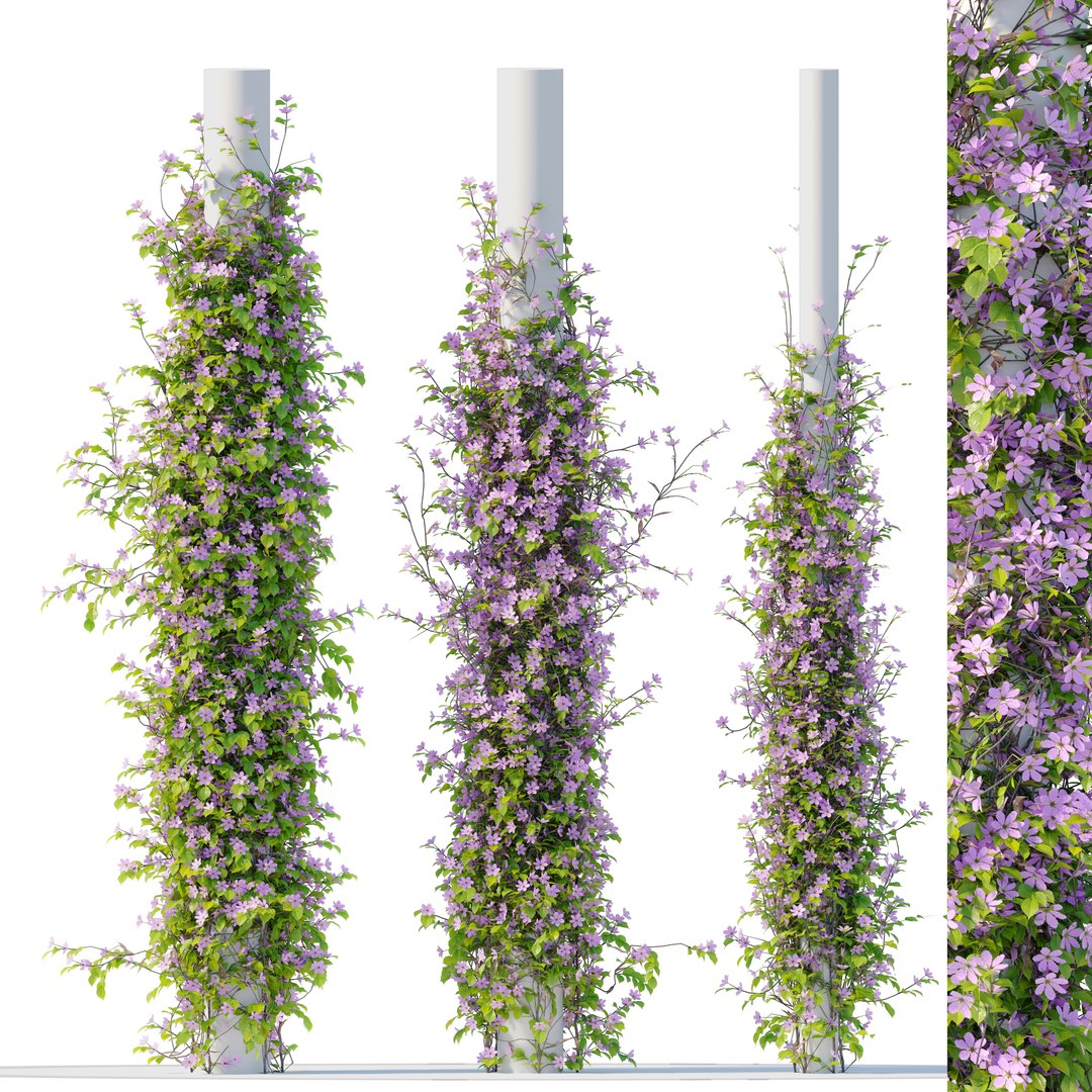 3D Flowering vine plant - TurboSquid 1932130