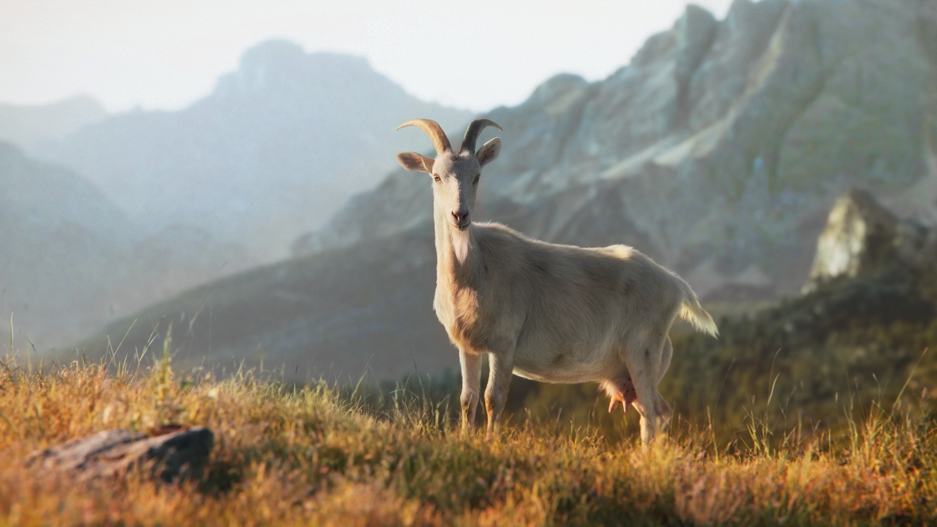 3D model Goat 01 Animated - TurboSquid 2024543