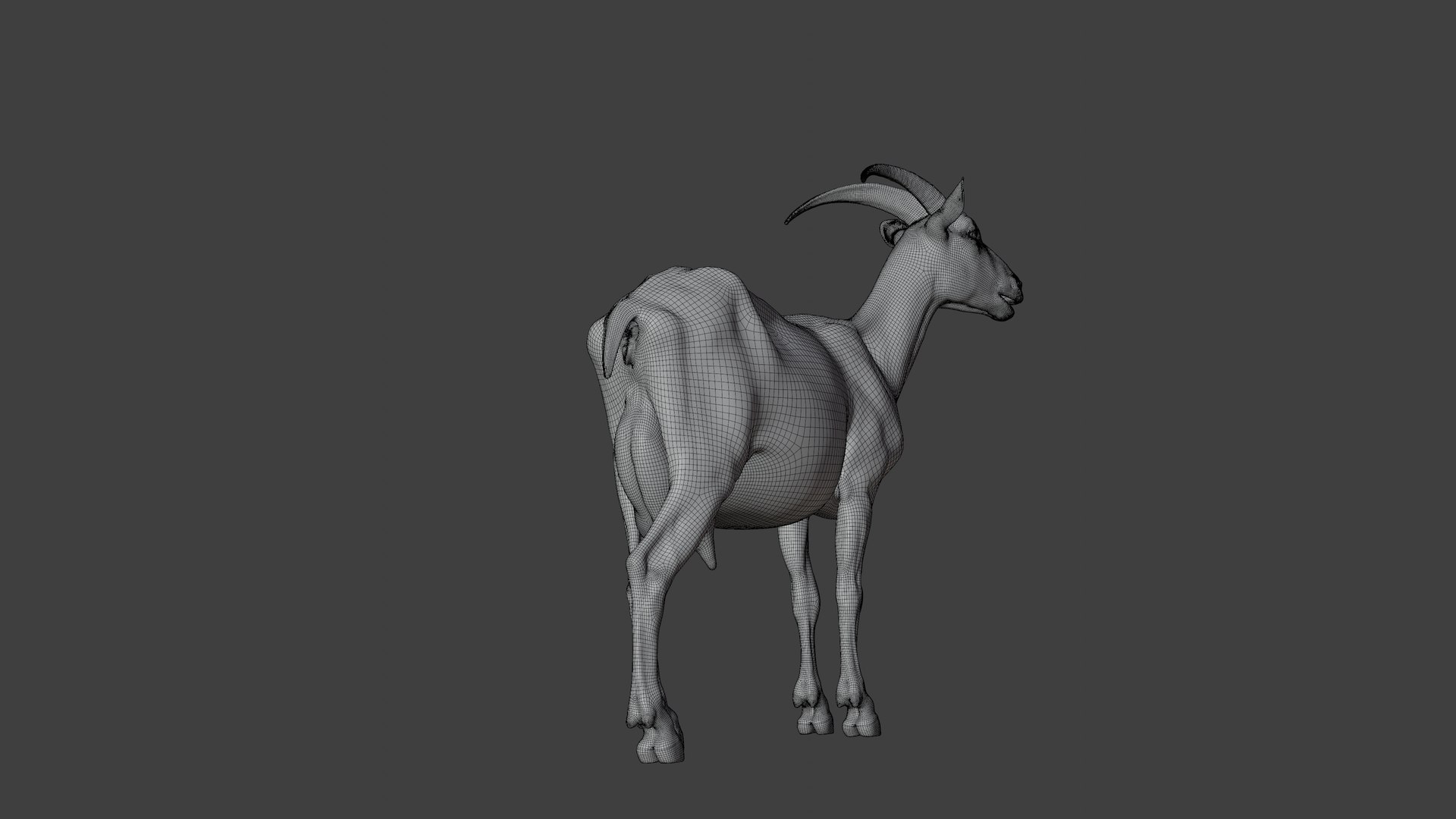3D Model Goat 01 Animated - TurboSquid 2024543