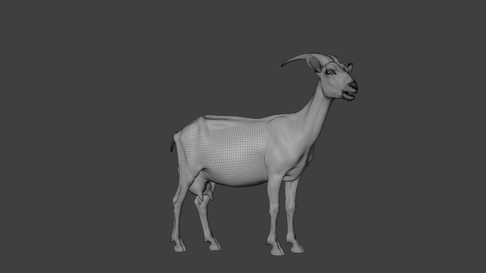 3D Model Goat 01 Animated - TurboSquid 2024543
