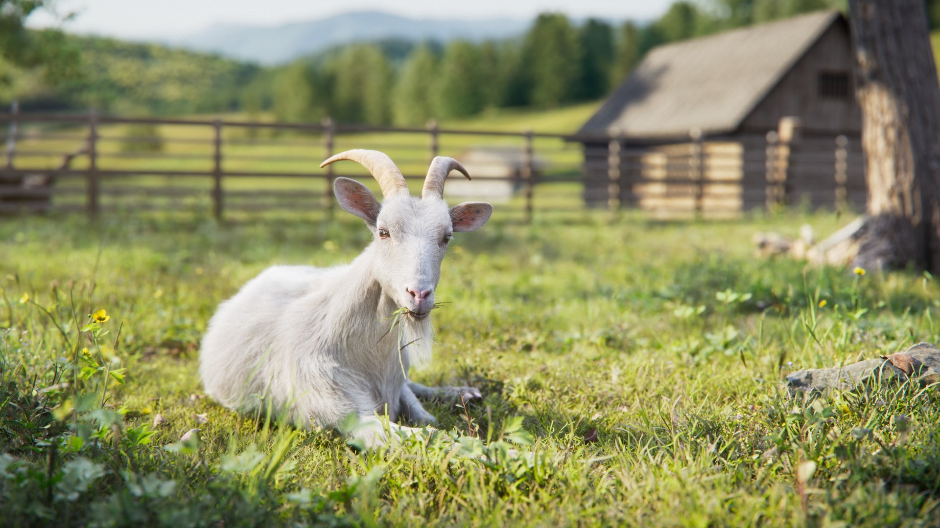 3D Model Goat 01 Animated - TurboSquid 2024543