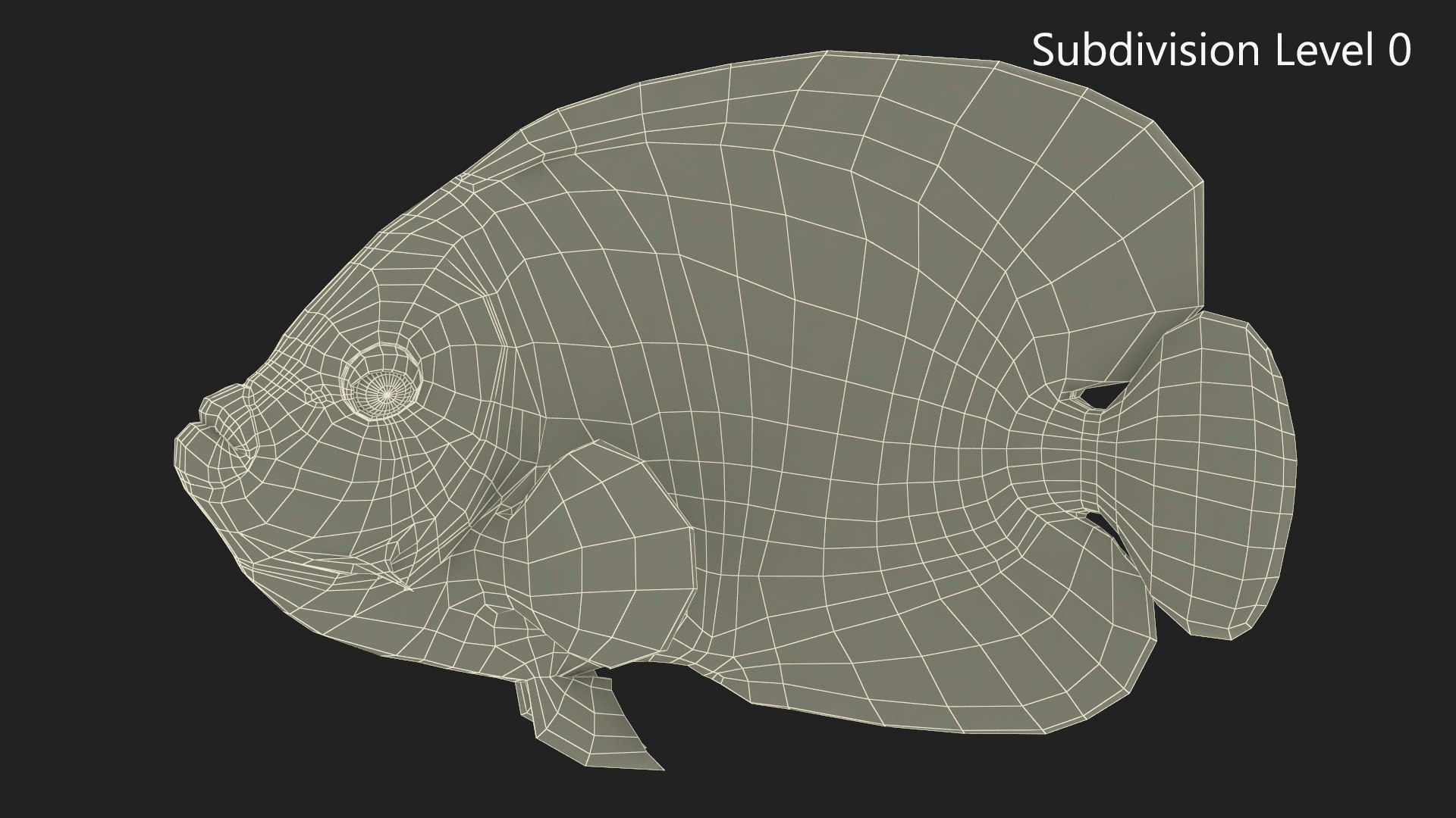 3D Model Emperor Angelfish Rigged For Maya - TurboSquid 2277245