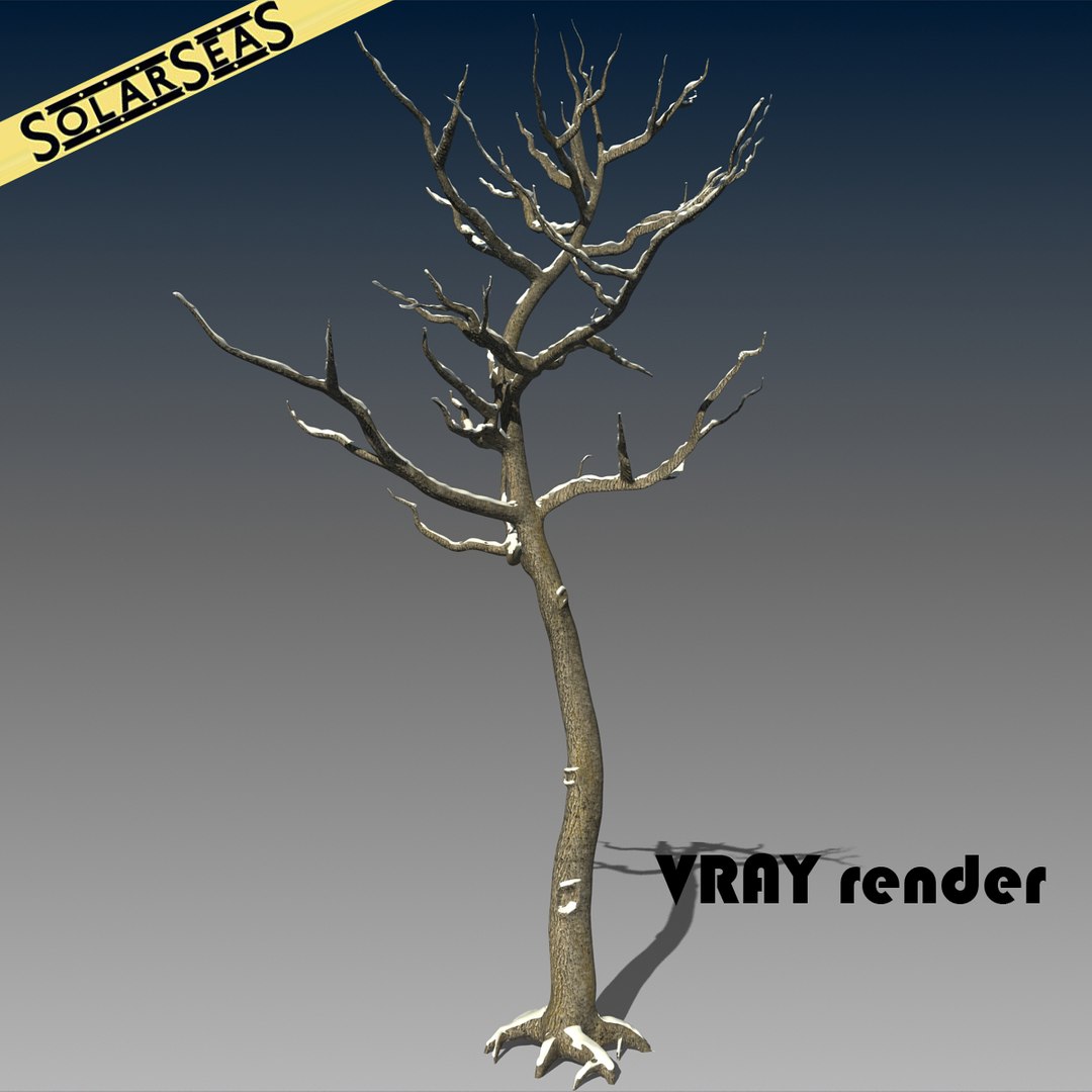 3ds max scanline winter deciduous tree